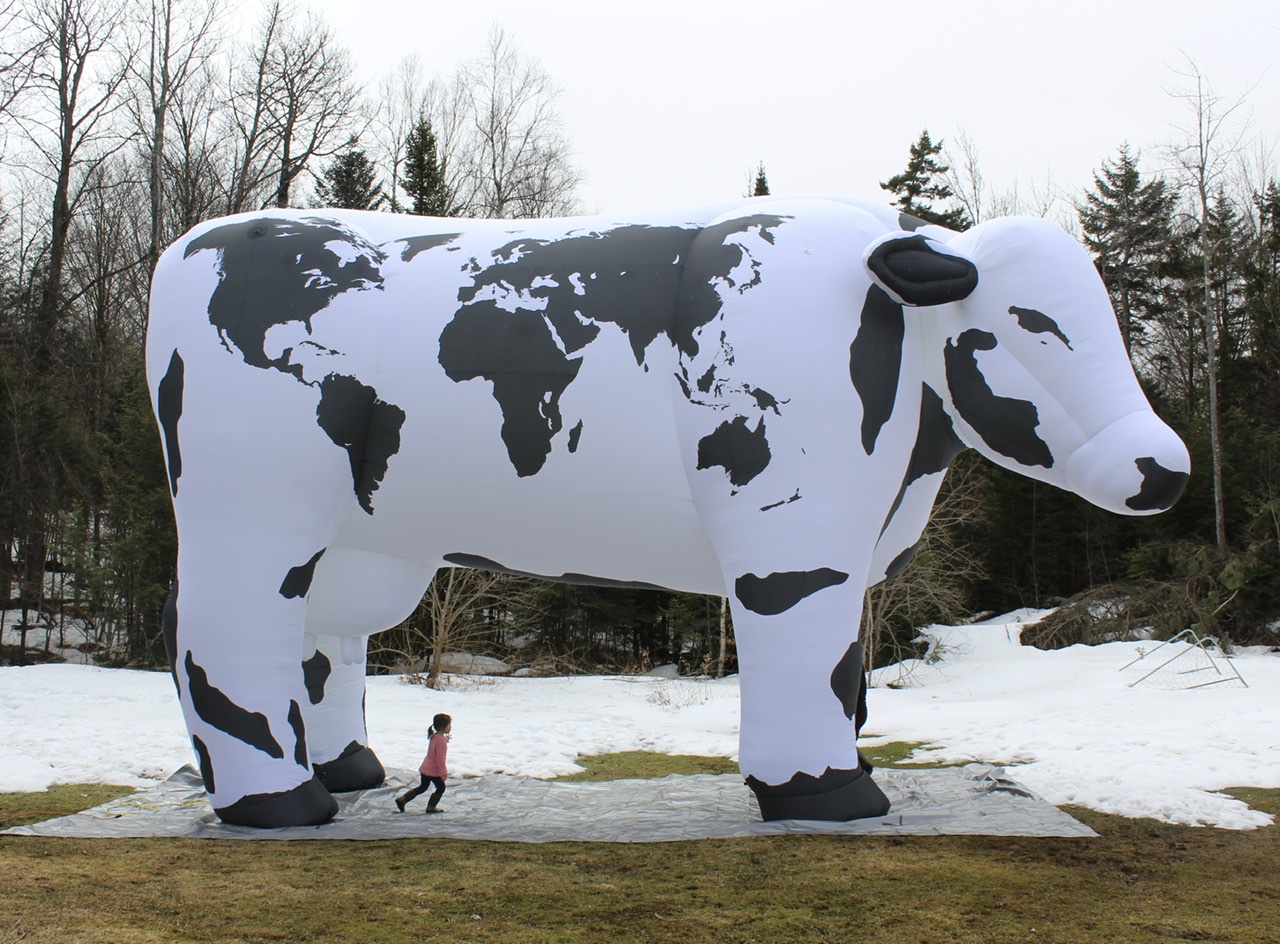 World Cow - Amplifier Community