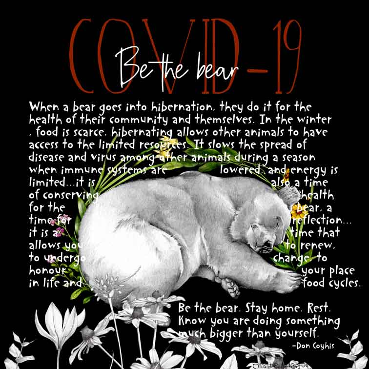 Be the Bear - Amplifier Community