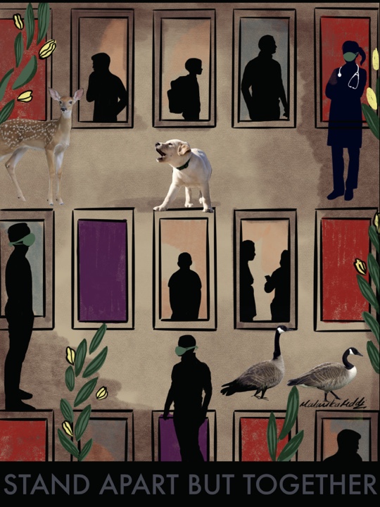 Stand Apart But Together - Amplifier Community