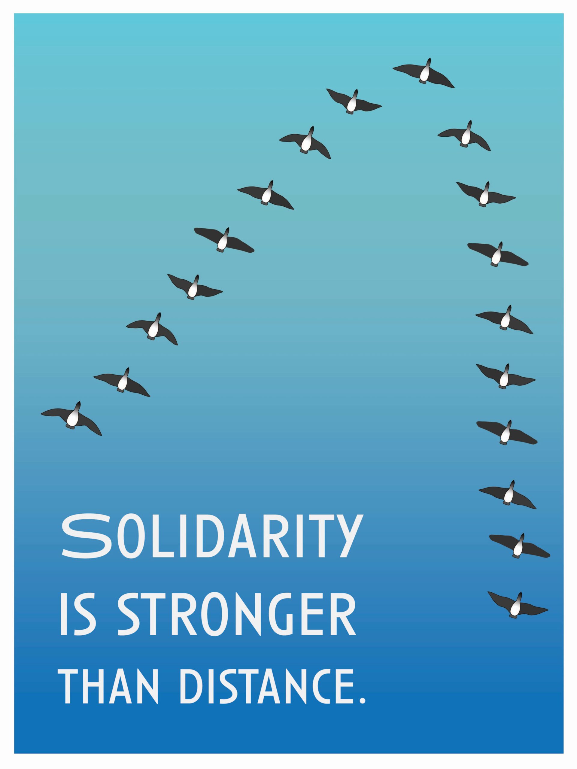 Solidarity is Stronger than Distance - Amplifier Community