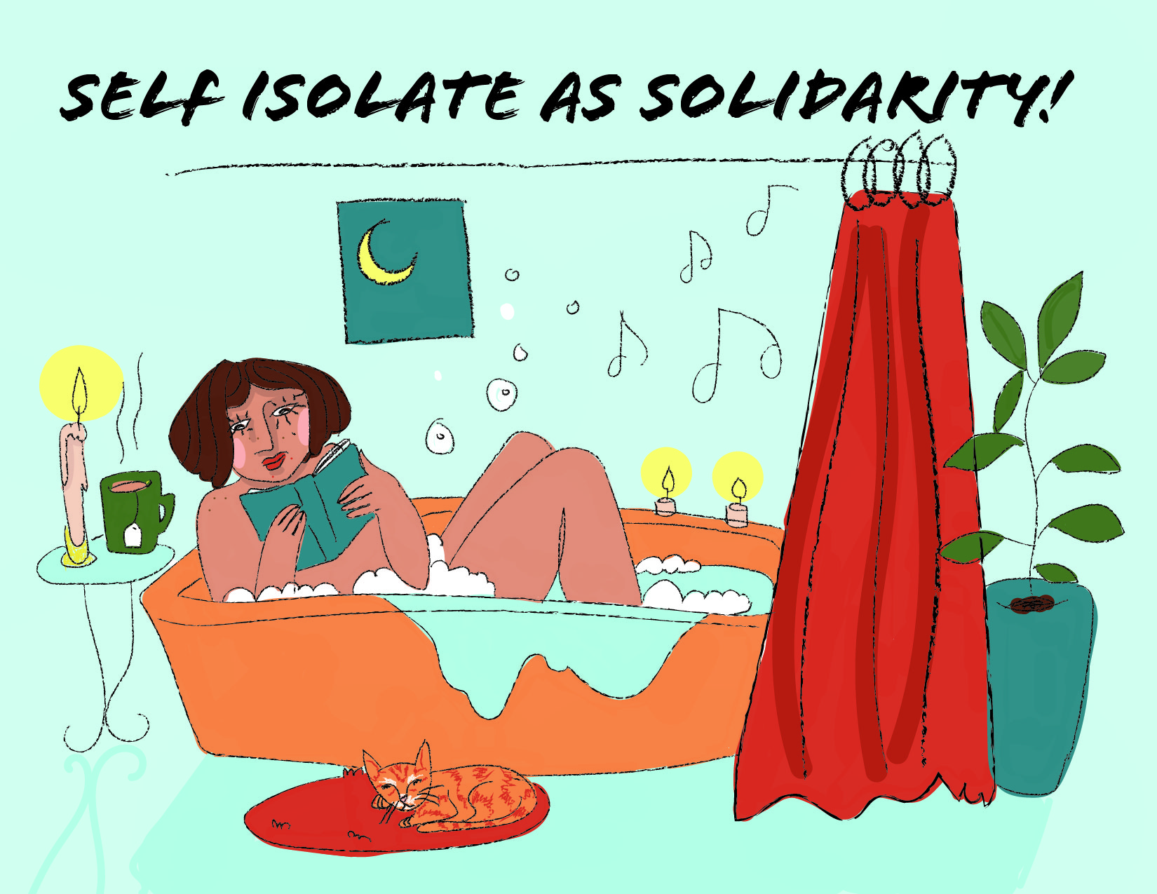 Solidarity - Amplifier Community