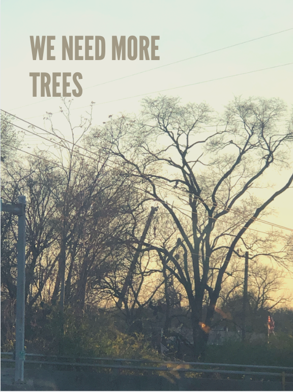We Need More Trees - Amplifier Community