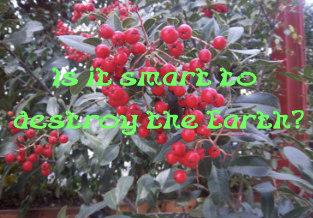 Air Pollution - Amplifier Community