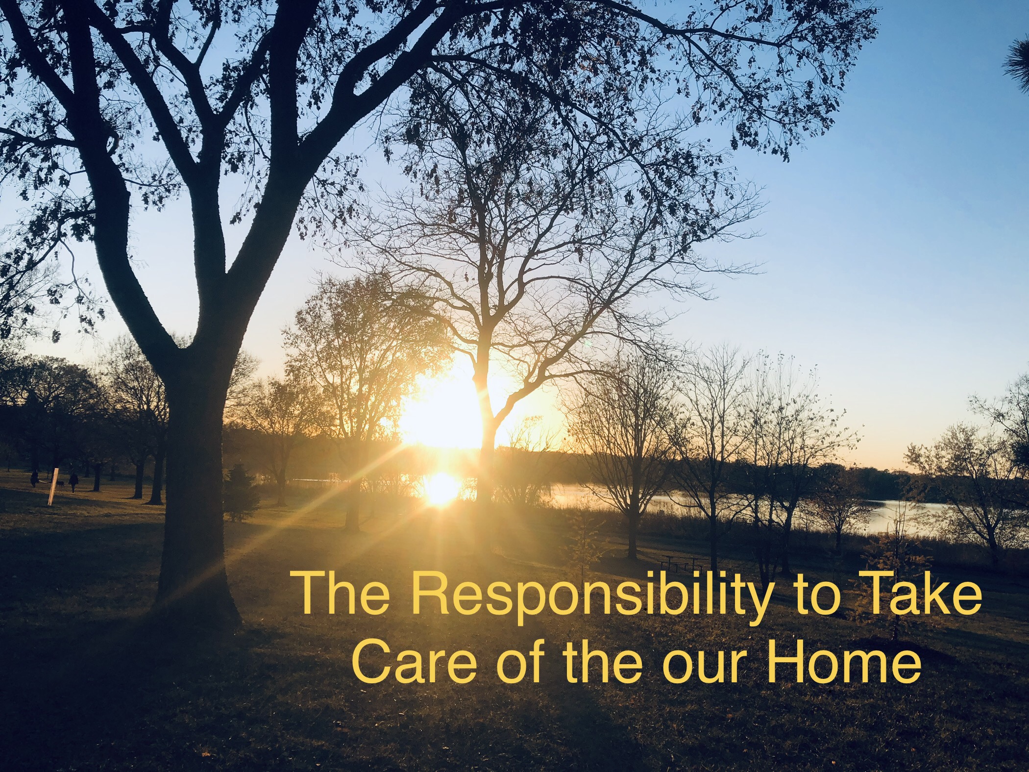 Behind The Horizon - Amplifier Community