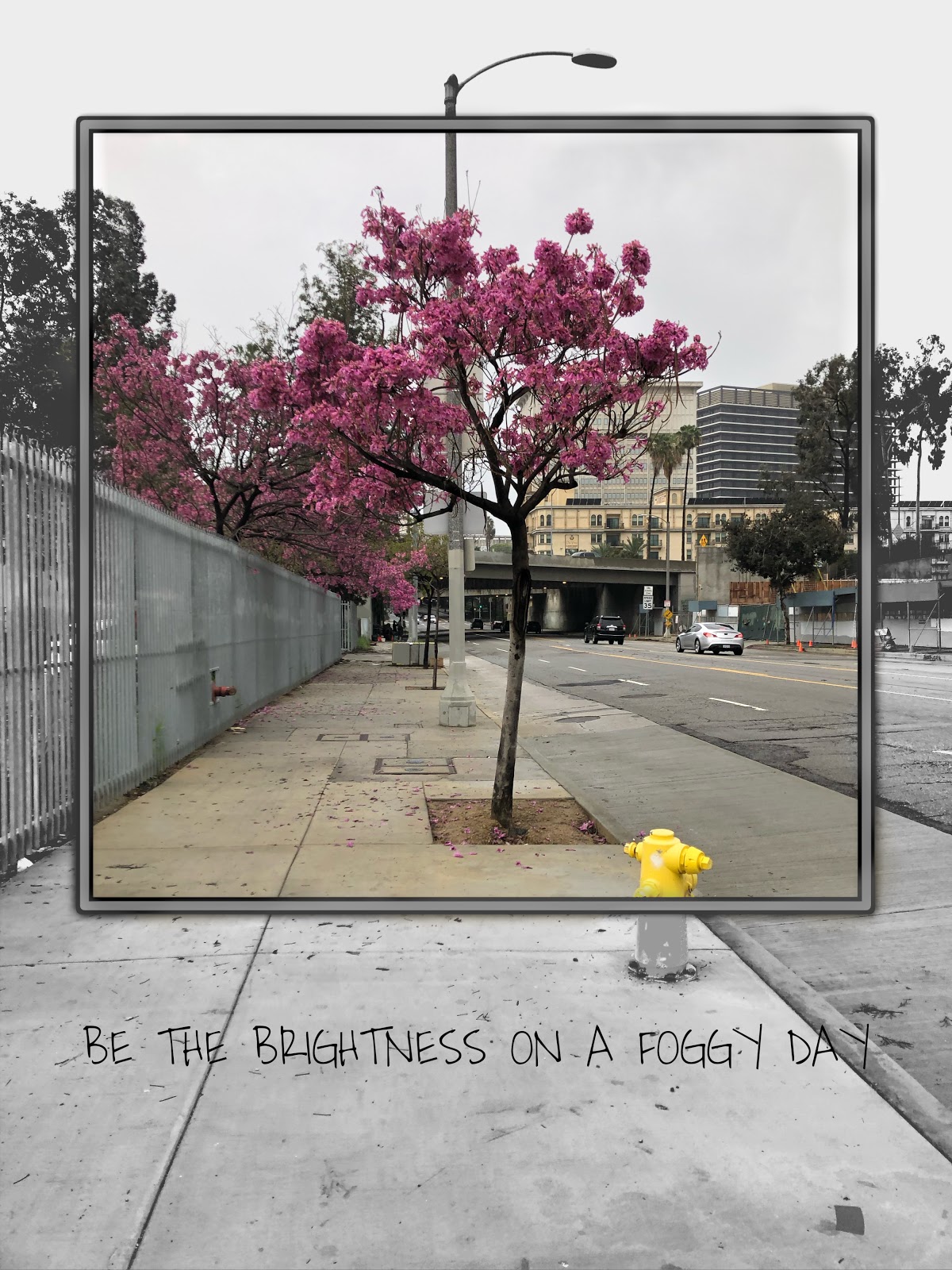 In Pursuit of Self-Happiness by Margareth Aquino - Amplifier Community