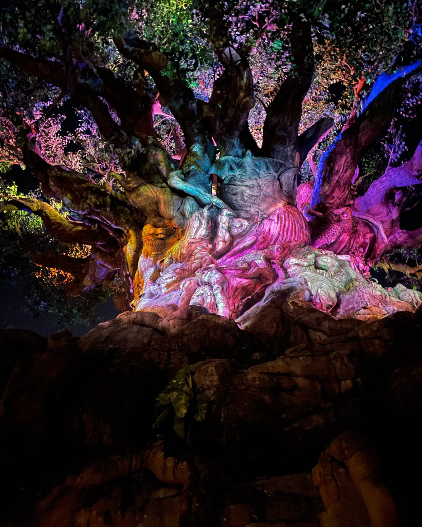 Reconnecting With Magic. - Amplifier Community