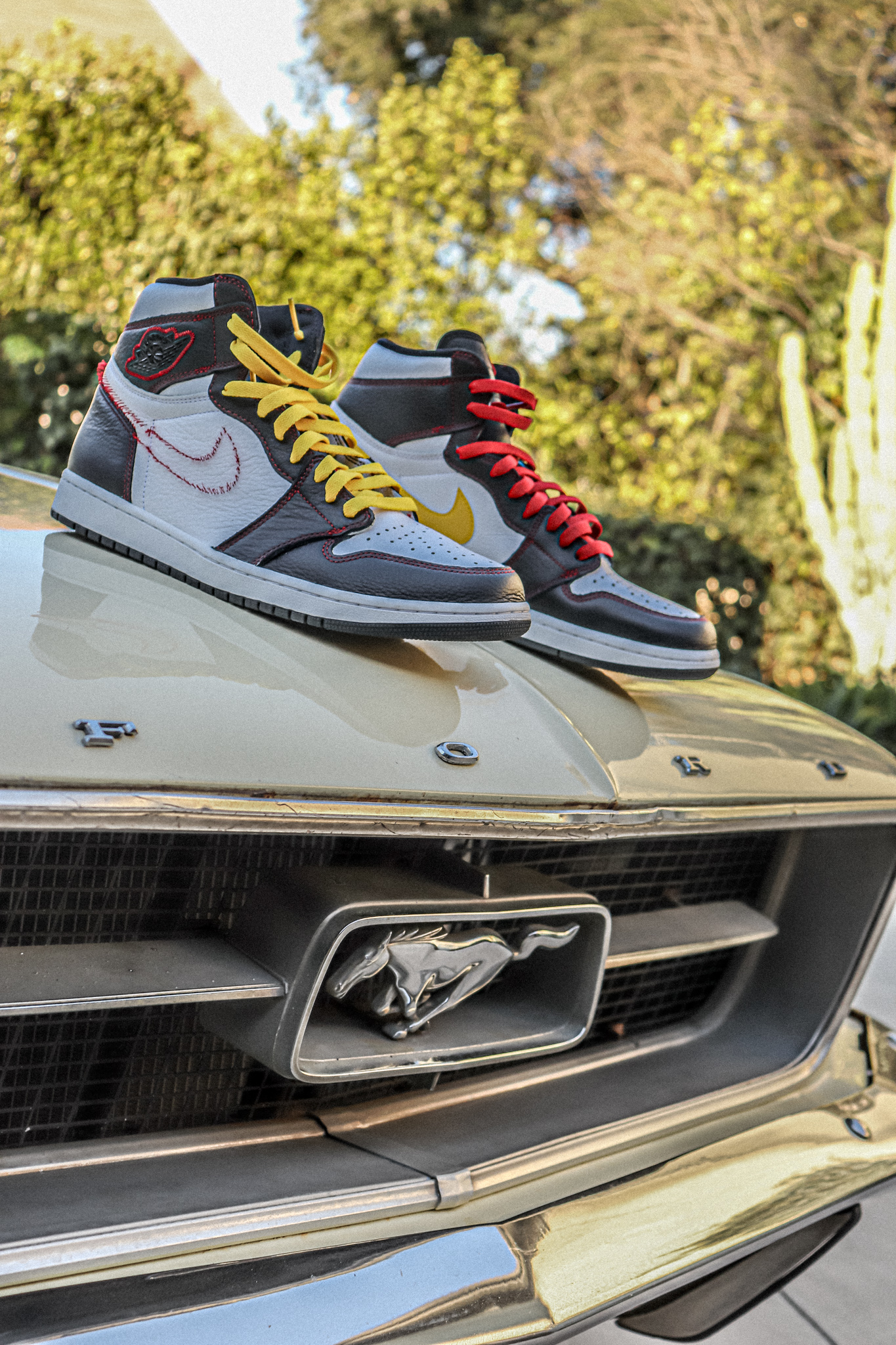 Reconnecting with My Brother - Amplifier Community