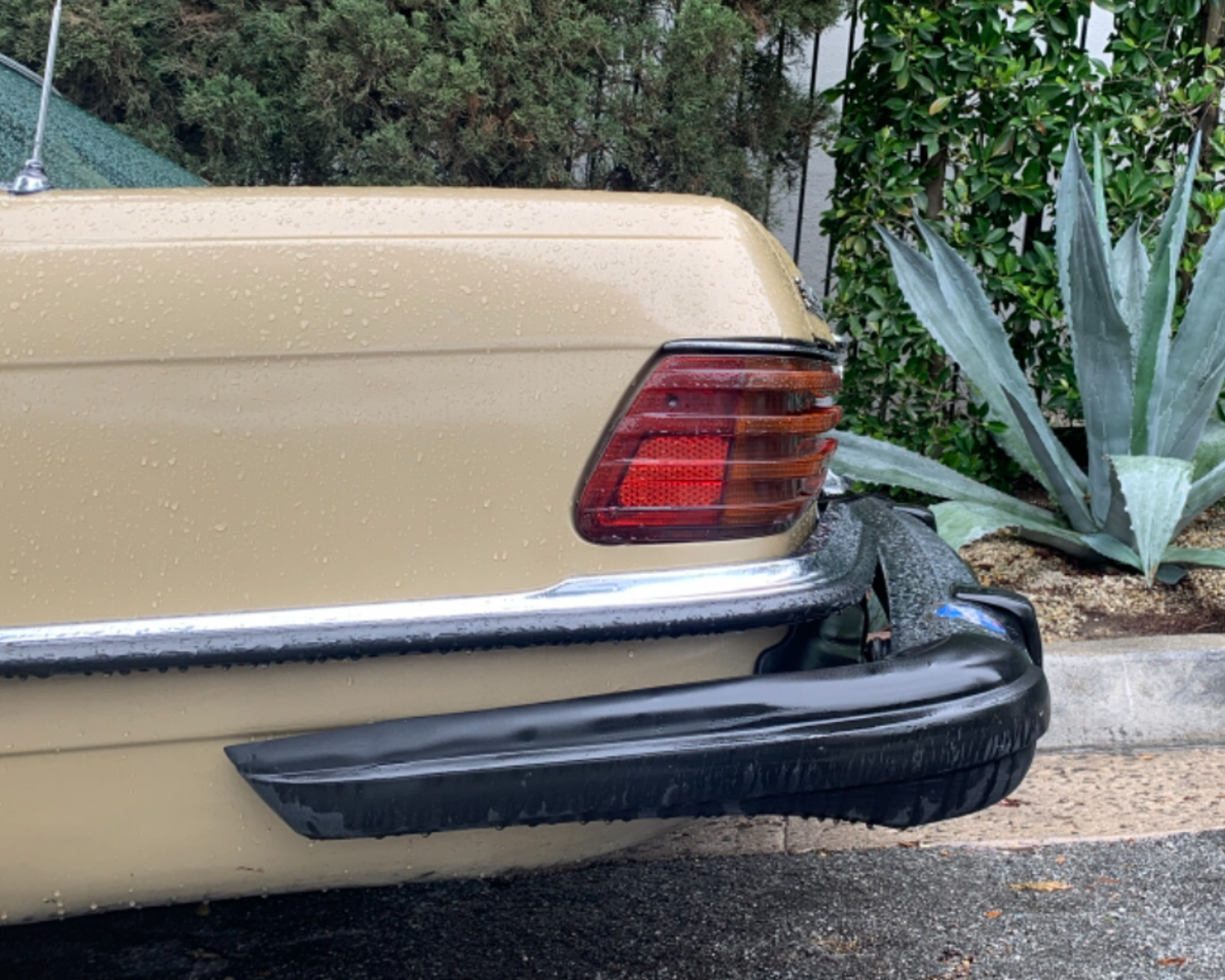 Mercedes Rain - Amplifier Community