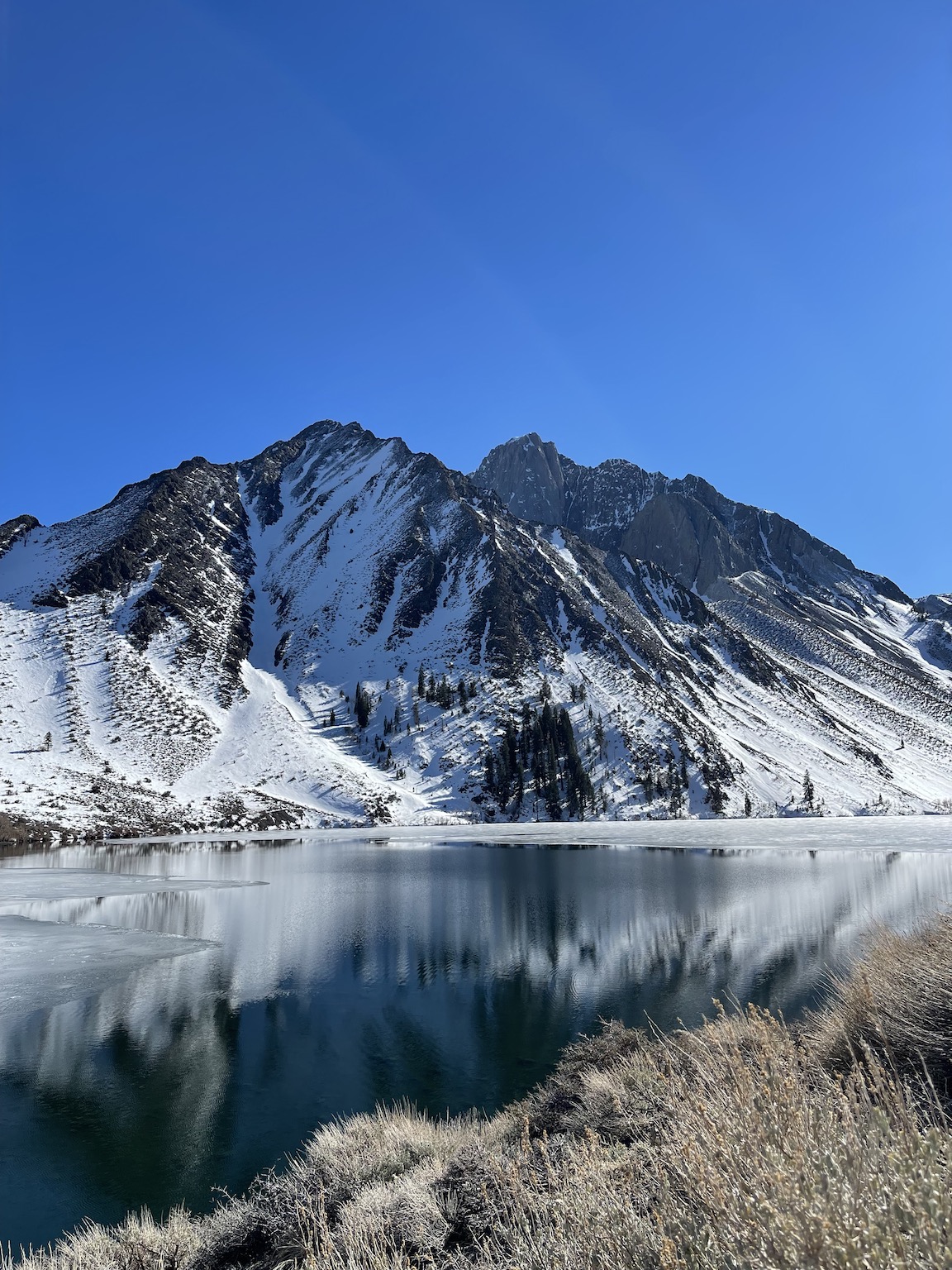 Reconnecting With Our Reflection - Amplifier Community