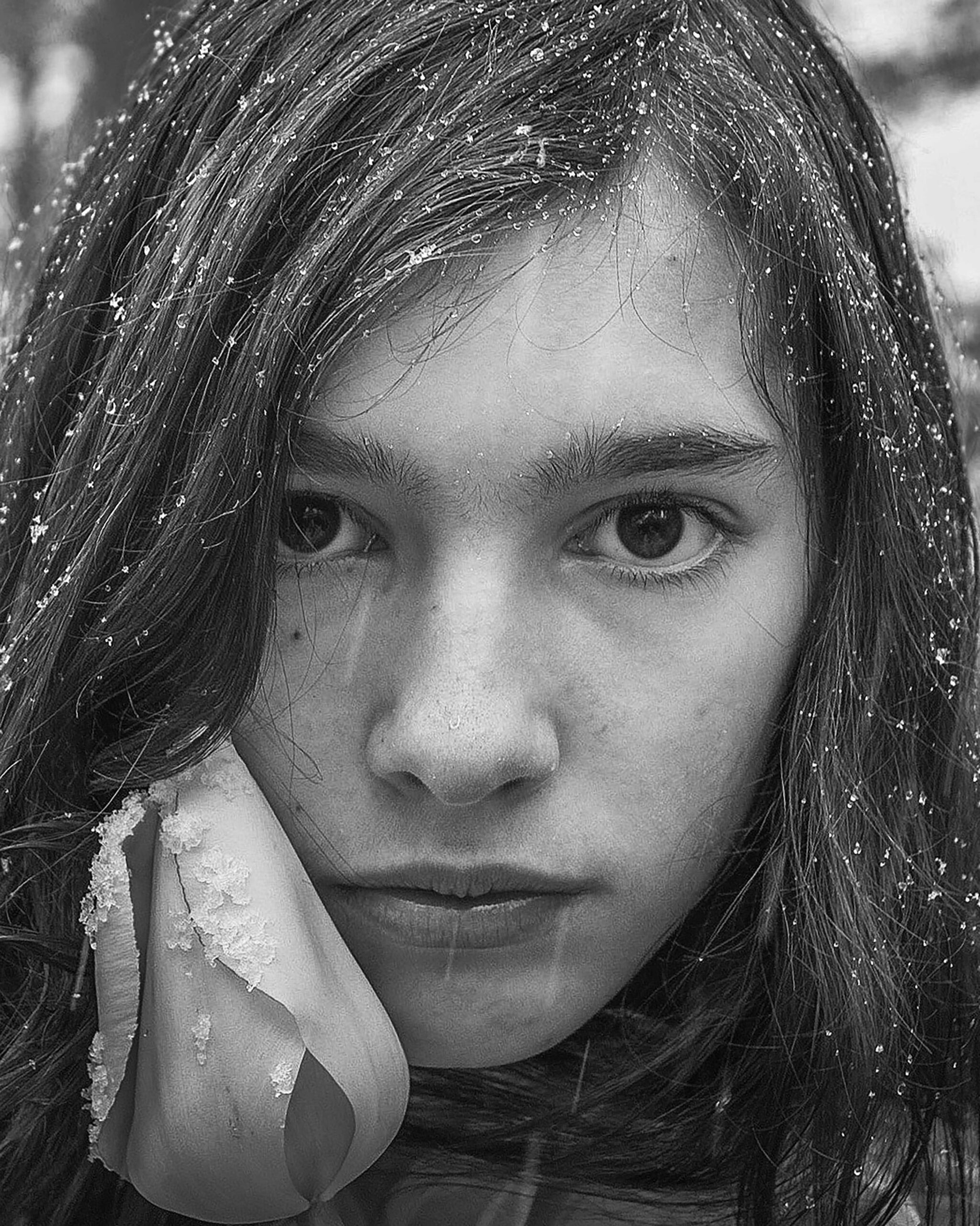 Frost and Flowers - Amplifier Community