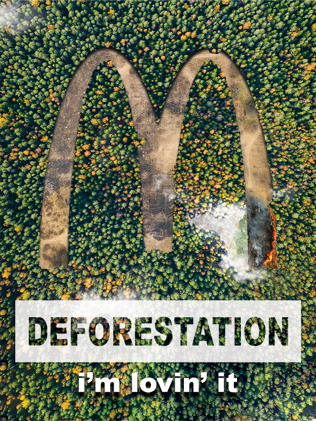 Déforestation McDo - Amplifier Community